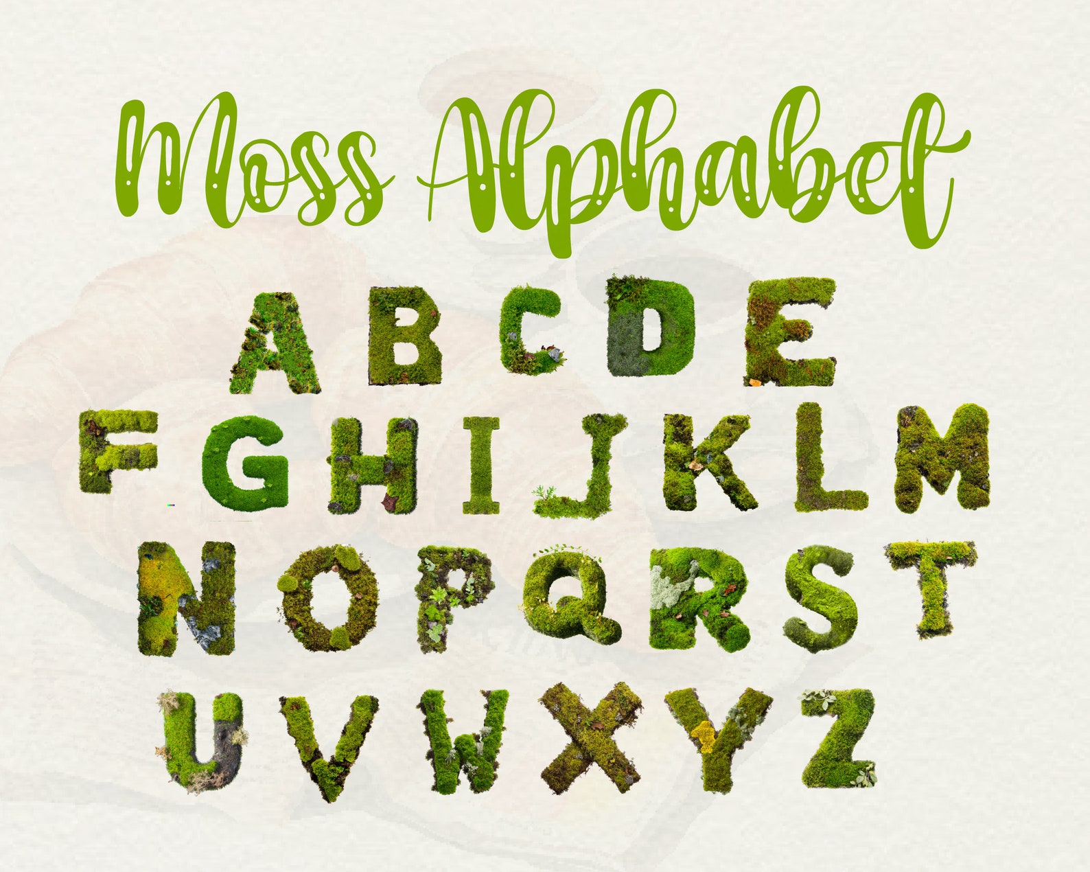 Moss Alphabet Latin Letters Made of Grassland. Clipart Png. - Etsy