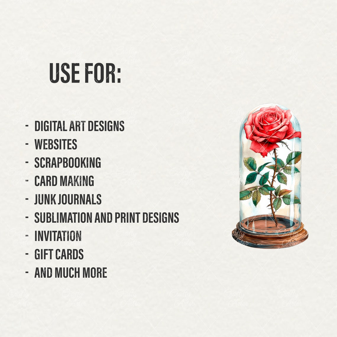 Watercolor Rose Glass Dome Clipart: Floral PNG Graphics (commercial Use ...