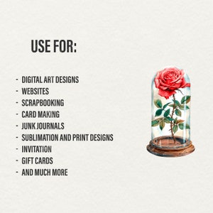 Watercolor Roses Glass Domes Clipart, 27 PNG Rose Flower, Romance Roses ...