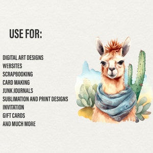 Watercolor Llama Clipart, 28 PNG Llamas Watercolor Clipart Animals ...