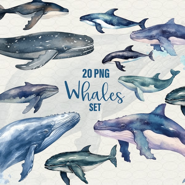 Blue Whale Clipart - Etsy