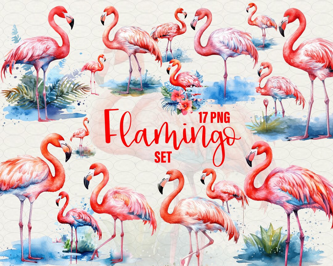 Watercolor Flamingo Clipart, 17 Png Tropical Animals Flamingo ...