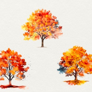 Watercolor Autumn Trees Clipart, 20 PNG Bundle Watercolor Autumn Illustration, Autumn Tree With ...