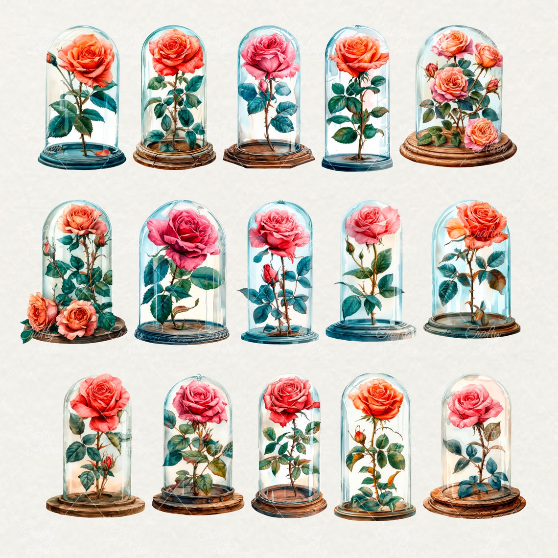 Watercolor Rose Glass Dome Clipart: Floral PNG Graphics (commercial Use ...