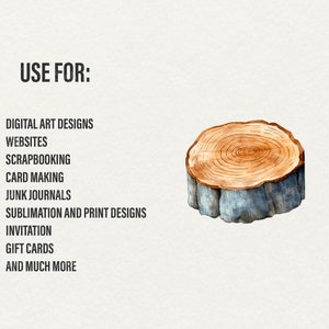 Watercolor Wood Slice Clipart: 38 PNG Wooden Board Graphics (commercial ...