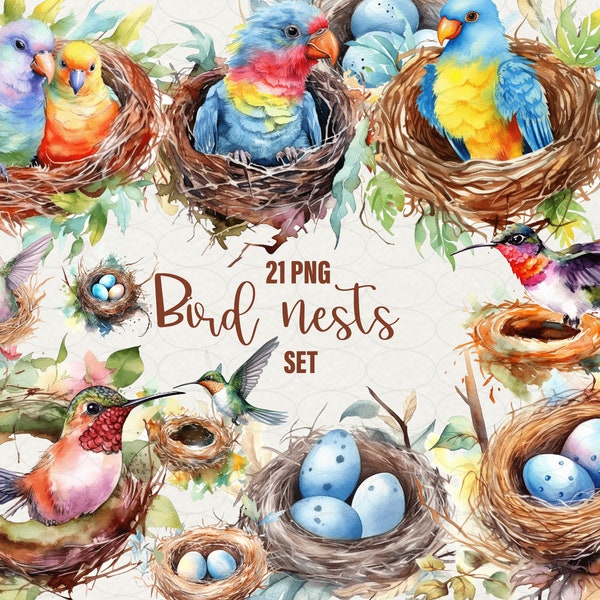 Nest Clip Art - Etsy