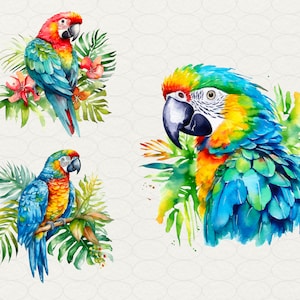 Watercolor Parrots Clipart, Watercolor Exotic Birds Clipart 22 PNG ...