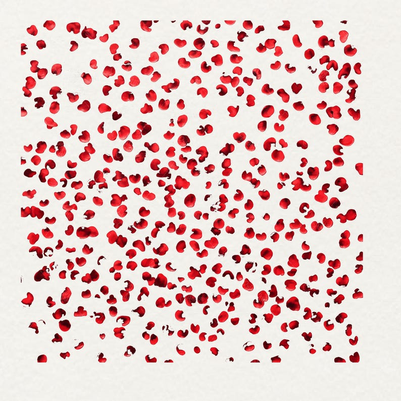 Falling Red Rose Petals PNG Overlays: Romantic Photo Effects ...
