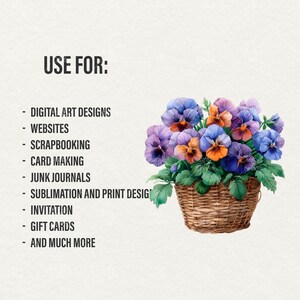 Watercolor Pansy Flower Clipart, 37 PNG Pansy Flowers, Spring Viola ...