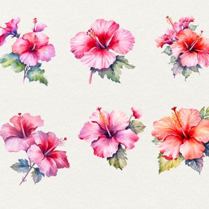 Watercolor Hibiscus Clipart, 26 Png Watercolor Hawaii Flowers Clipart ...