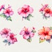 Watercolor Hibiscus Clipart, 26 Png Watercolor Hawaii Flowers Clipart ...