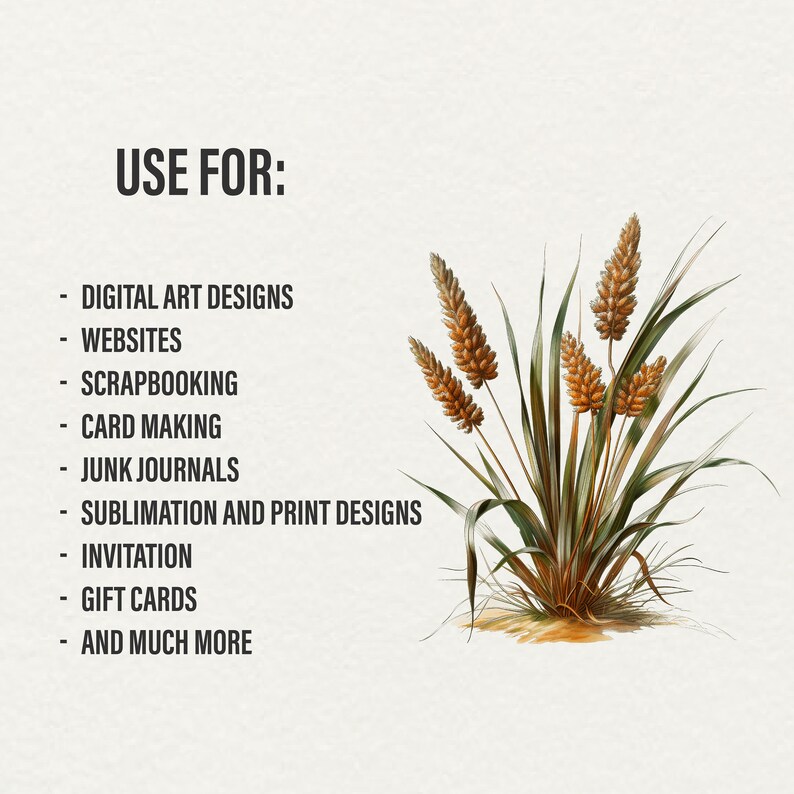Boho Grass Clipart: 50 Watercolor Floral PNG Illustrations (digital ...