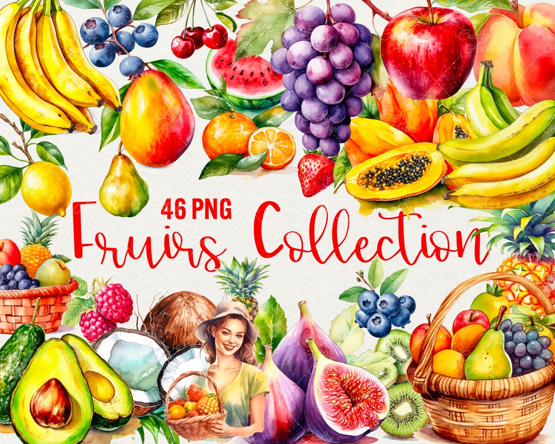 Watercolor Fruits Clipart: 46 PNG Digital Art Illustrations (commercial ...