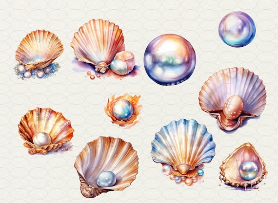 Pearl Shell Clipart