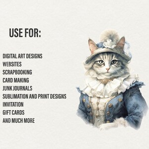 Watercolor Rococo Cats Clipart, Cute Animal Clipart, 20 PNG Rococo ...