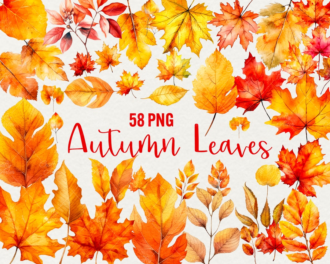 Watercolor Autumn Leaves Clipart, 58 PNG Mega Set Bundle Watercolor ...
