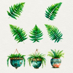 Watercolour Ferns Clipart Bundle, 30 Png Green Fern Leaves, Floral ...