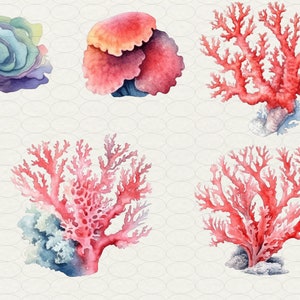 Coral Reef Clipart, 31 Png Ocean Clipart Sea Clip Art, Sealife ...