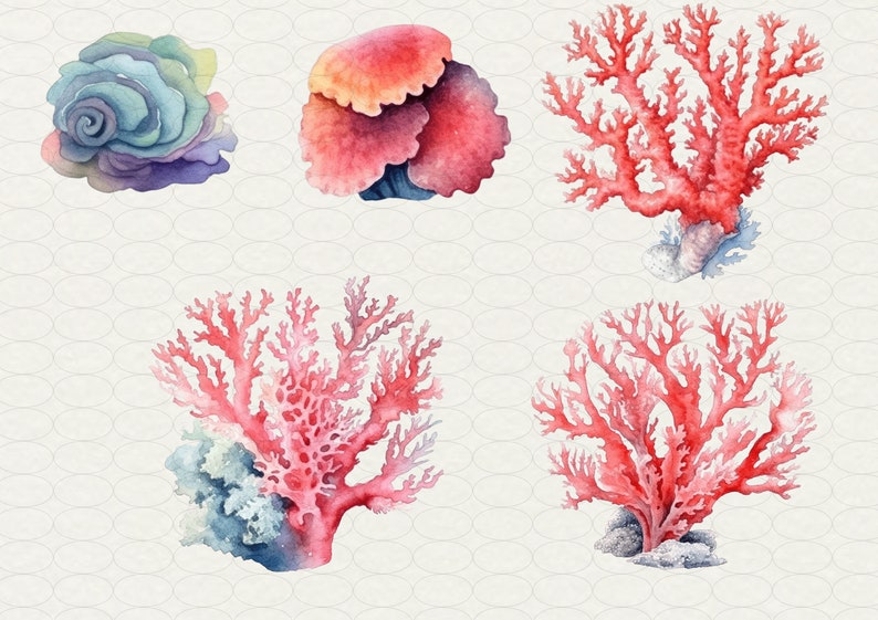 Watercolor Coral Reef Clipart: 31 PNG Sea Life Graphics (commercial Use ...
