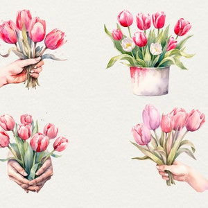 Watercolor Pink Tulips Clipart, 27 PNG Watercolor Tulips Flowers ...