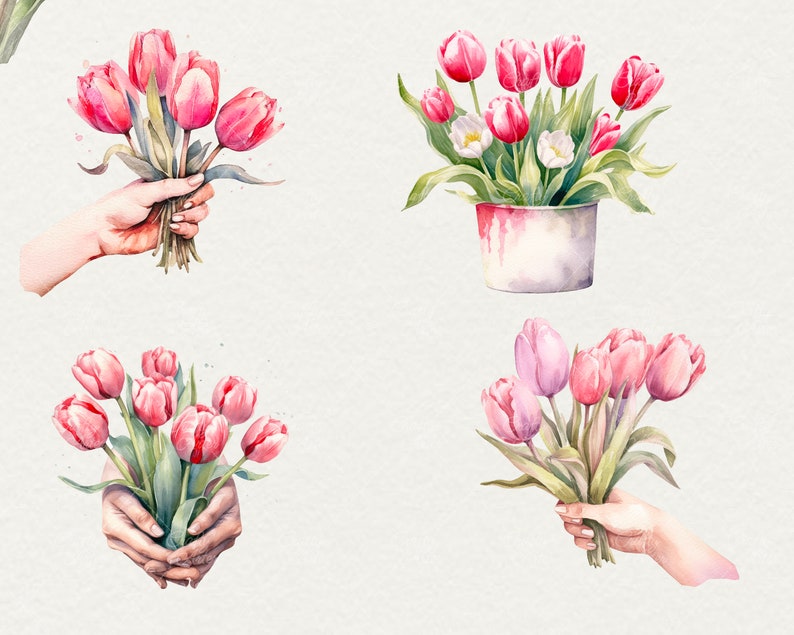 Watercolor Pink Tulips Clipart 27 PNG Watercolor Tulips - Etsy