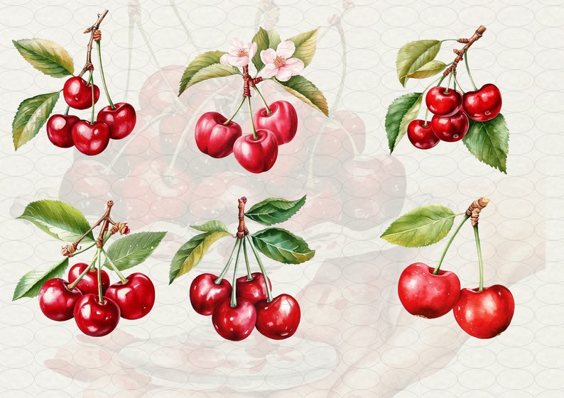 Cherry Clipart Bundle 34 PNG Red Watercolor Cherries Clipart - Etsy