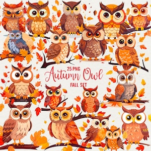 Autumn Owl Clipart, Cartoon Clipart Owl Fall Animals 25 PNG Owl Autumn ...