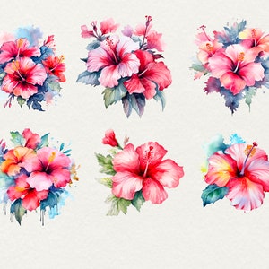 Watercolor Hibiscus Clipart, 26 Png Watercolor Hawaii Flowers Clipart ...