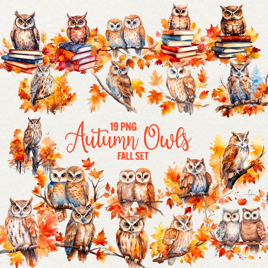 Watercolor Autumn Owl Clipart, Clipart Owl Fall Animals 19 PNG, Cute ...