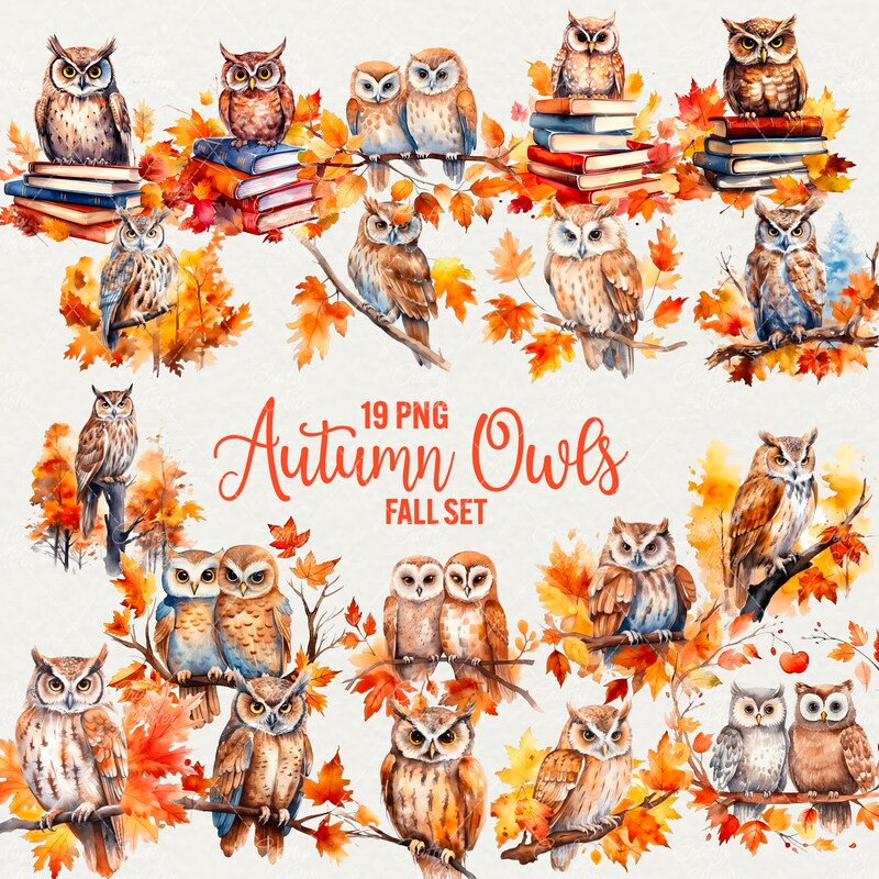 Fall Owl Clipart - Etsy