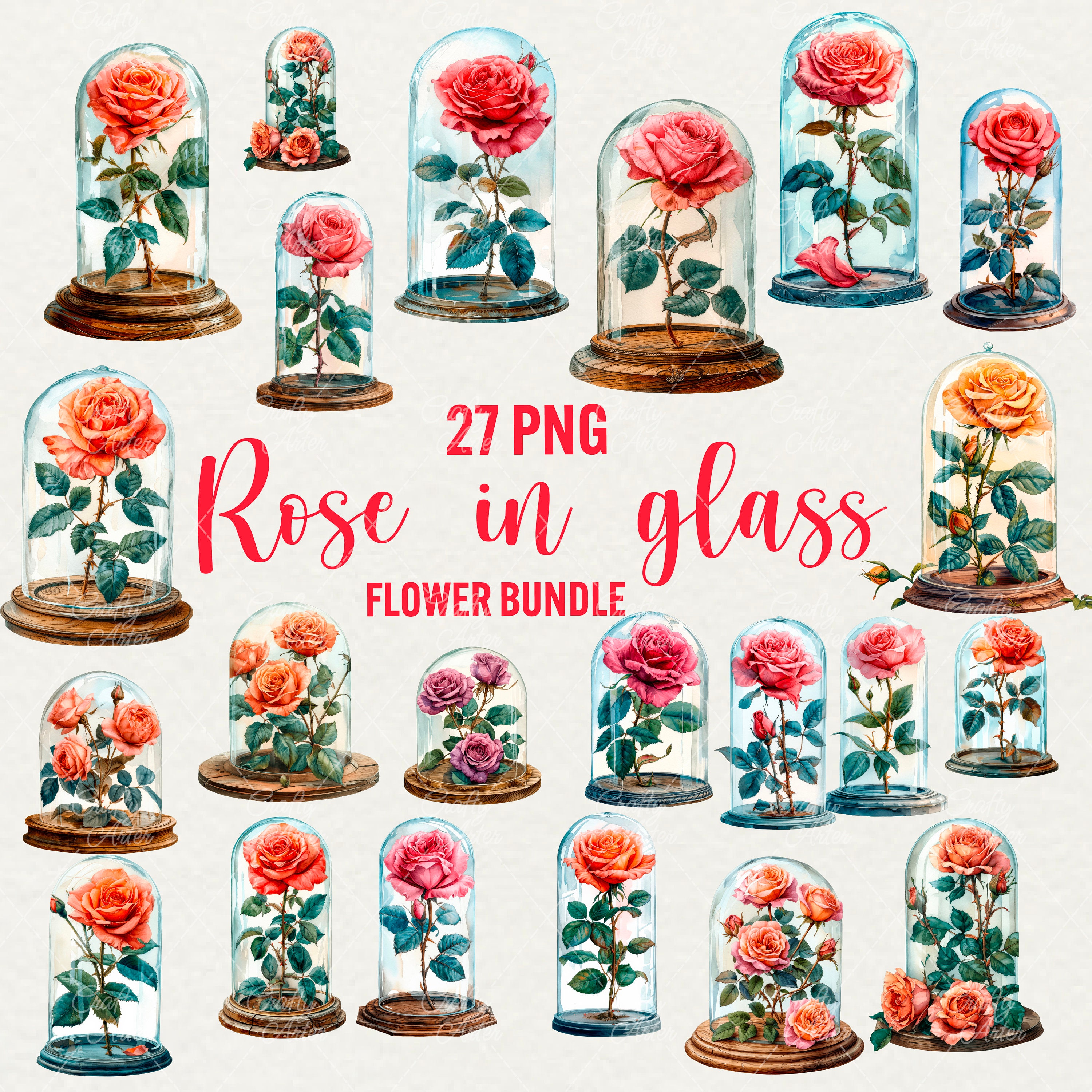 Watercolor Rose Glass Dome Clipart: Floral PNG Graphics (commercial Use ...