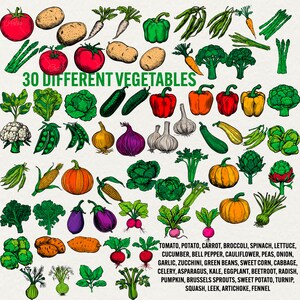 Vegetables Svg Bundle, Veggie Png/ Svg Clipart, Farmers Market, Healthy ...