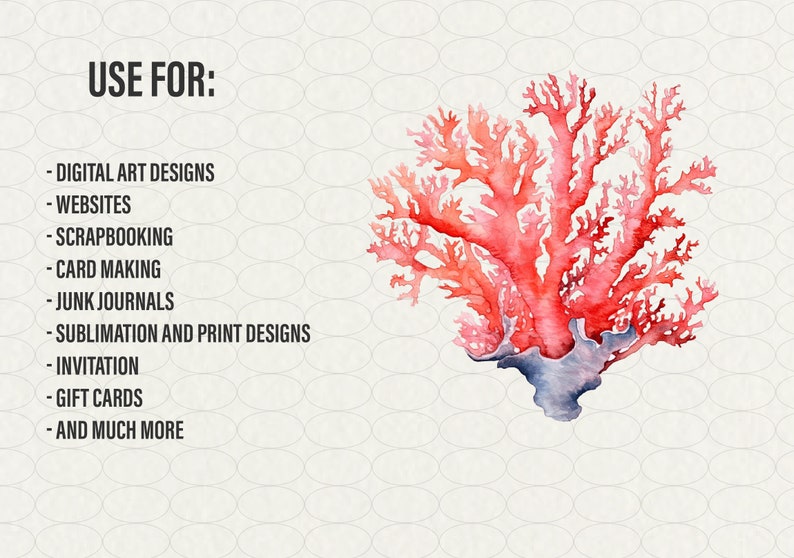 Watercolor Coral Reef Clipart: 31 PNG Sea Life Graphics (commercial Use ...