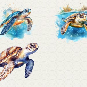 Watercolor Sea Turtle Clipart: 20 PNG Ocean Turtle Graphics (commercial ...