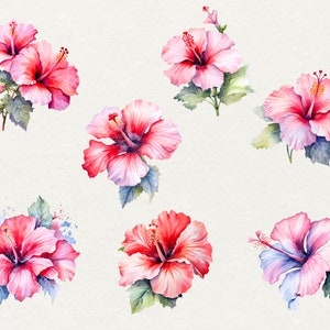 Watercolor Hibiscus Clipart, 26 Png Watercolor Hawaii Flowers Clipart ...