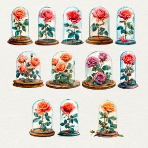 Watercolor Roses Glass Domes Clipart, 27 PNG Rose Flower, Romance Roses ...