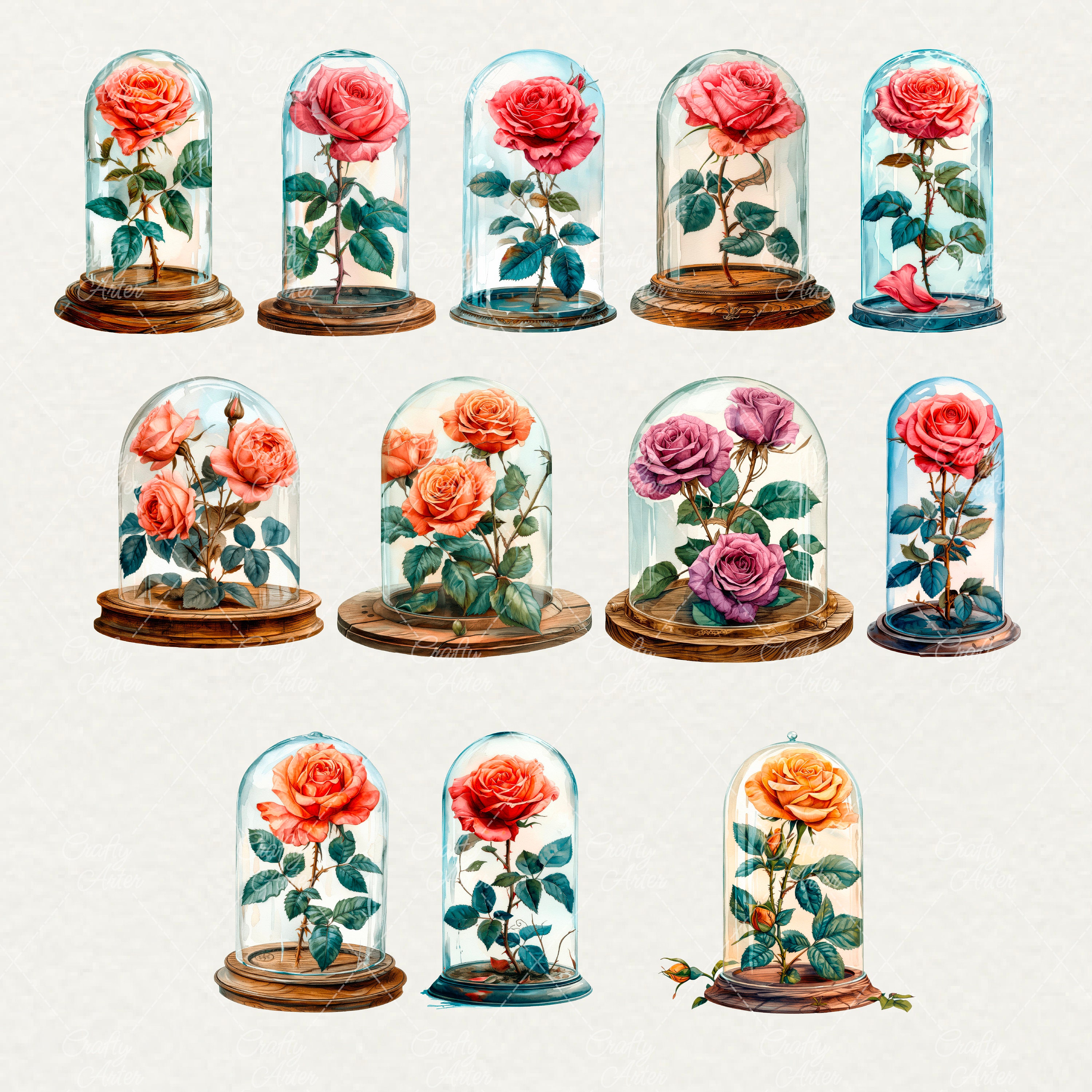 Watercolor Rose Glass Dome Clipart: Floral PNG Graphics (commercial Use ...