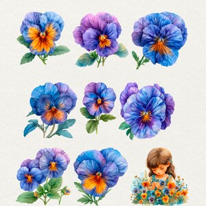 Watercolor Pansy Flower Clipart, 37 PNG Pansy Flowers, Spring Viola ...
