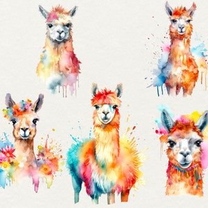 Watercolor Llama Clipart, 28 PNG Llamas Watercolor Clipart Animals ...
