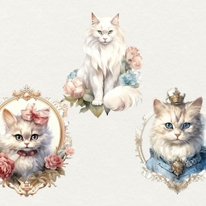 Watercolor Rococo Cats Clipart, Cute Animal Clipart, 20 PNG Rococo ...