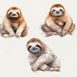 Watercolor Sloth Clipart Bundle, Cute Animal Clipart, 16 Png Instant ...