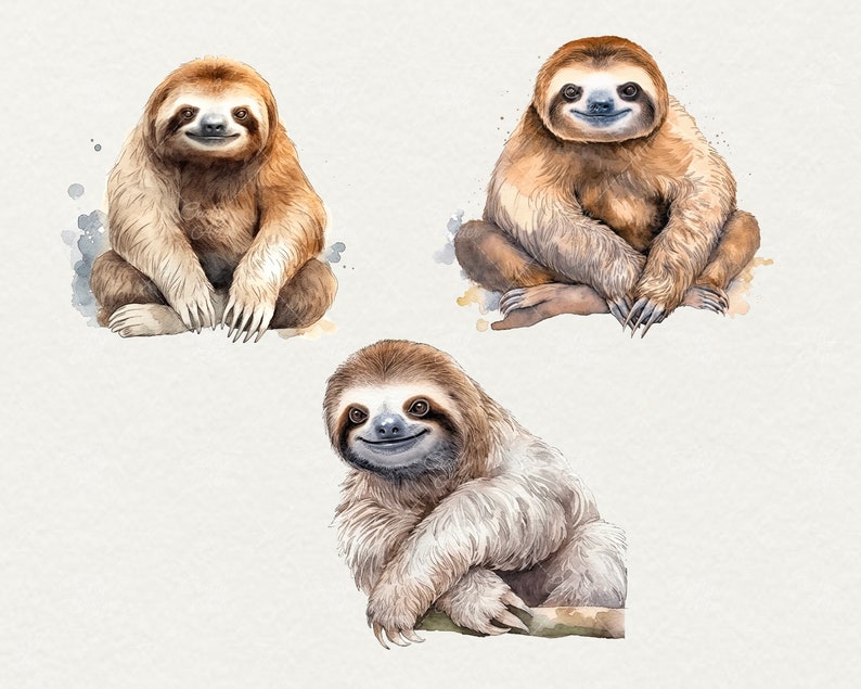 Watercolor Sloth Clipart Bundle, Cute Animal PNG (16 Files) - Etsy
