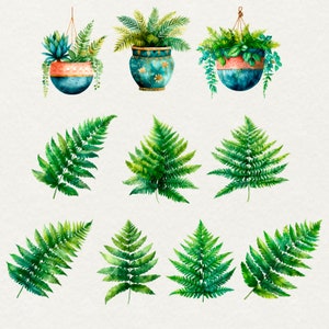 Watercolour Ferns Clipart Bundle, 30 Png Green Fern Leaves, Floral ...