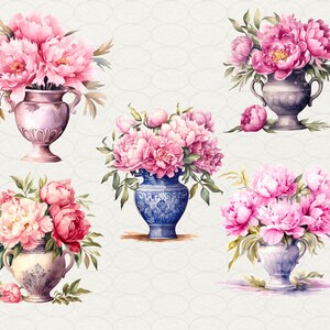 Watercolor Pink Peonies Vase Clipart, 28 Png, Sublimation Watercolor ...