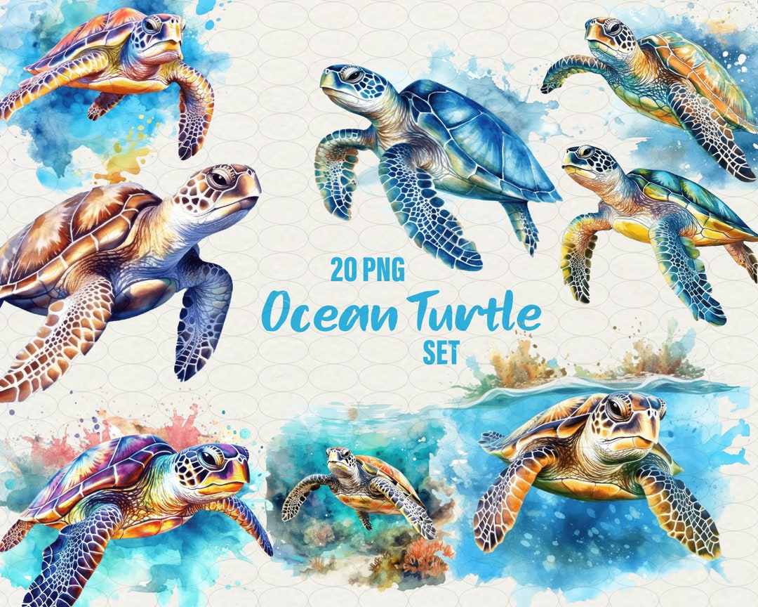 Watercolor Sea Turtle Clipart: 20 PNG Ocean Turtle Graphics (commercial ...