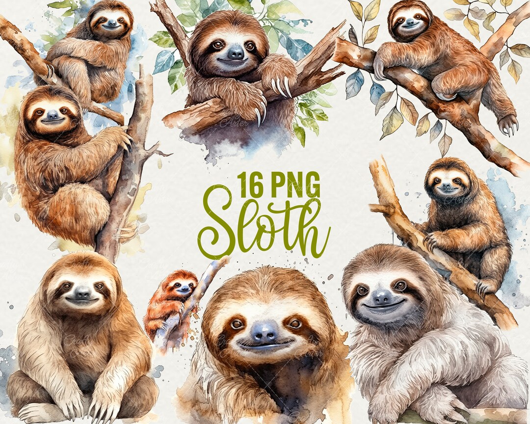 Watercolor Sloth Clipart Bundle, Cute Animal PNG (16 Files) - Etsy