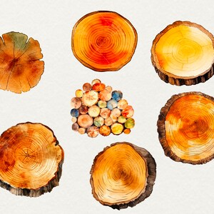 Watercolor Wood Slice Clipart, 38 PNG Wood Clipart, Watercolor Wooden ...