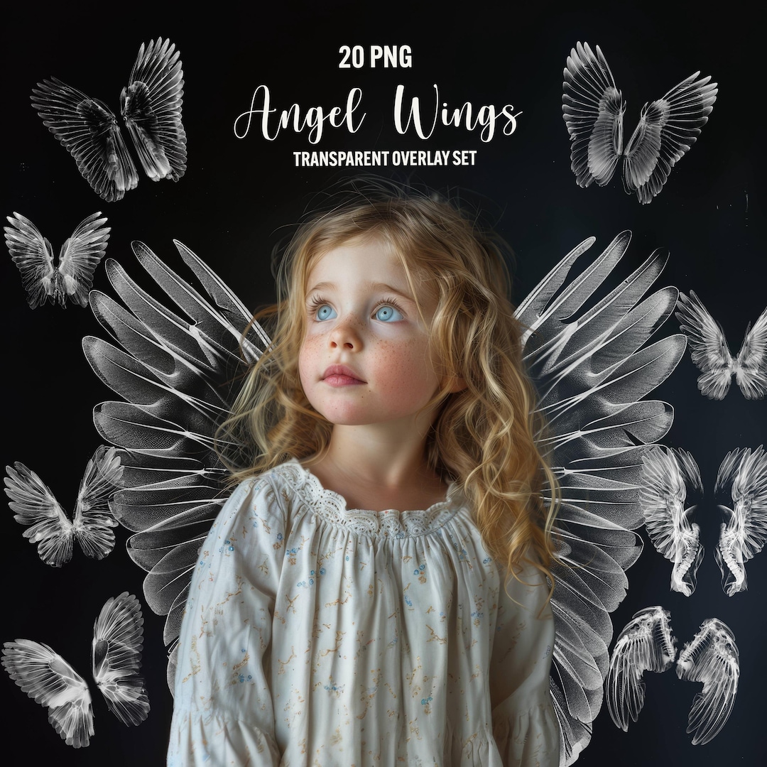 X-ray Angel Wings Overlay: 20 PNG Realistic Feather Wings (digital ...