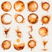 Watercolor Coffee Stains Clipart: 47 PNG Coffee Splashes (digital ...