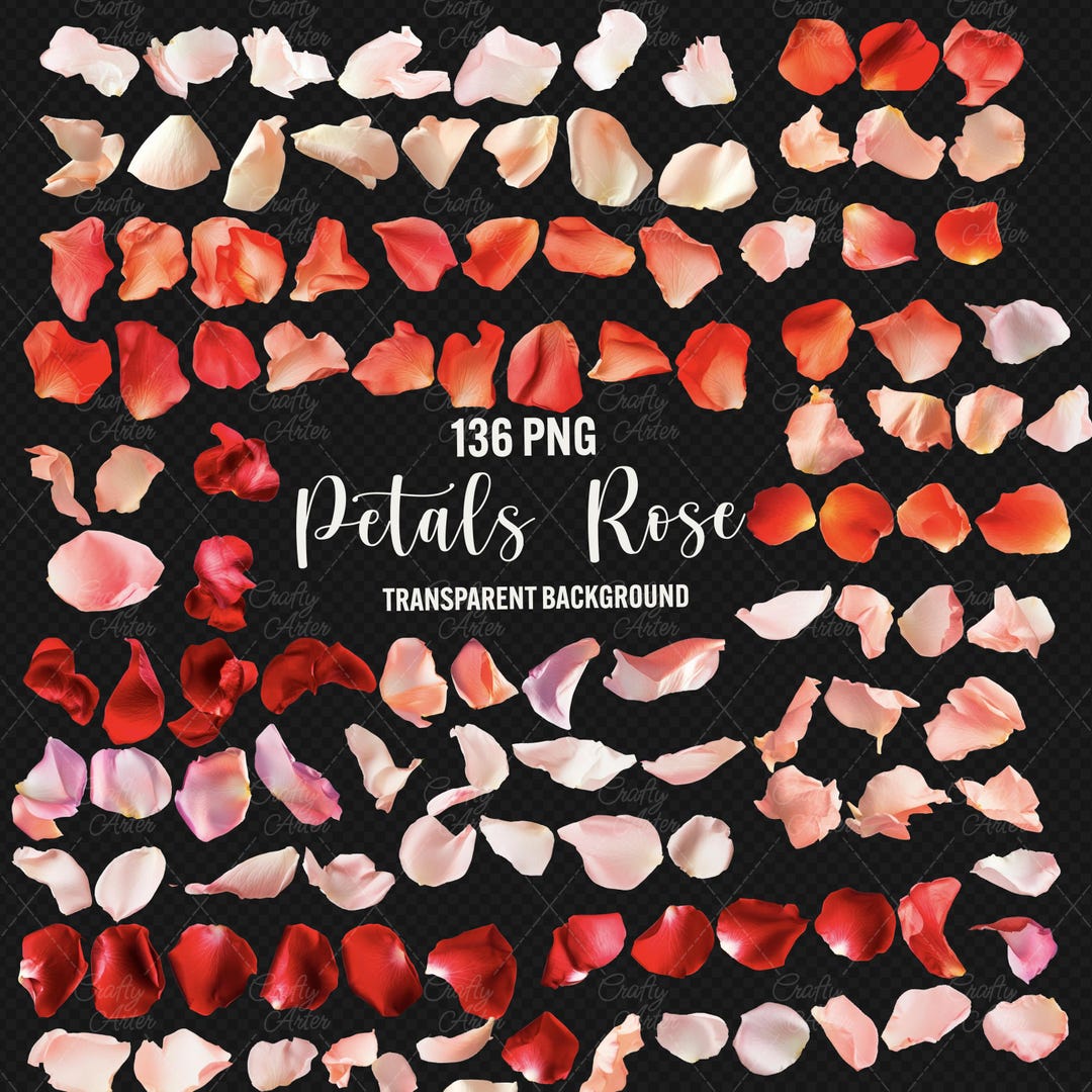 Rose Petal Overlays, Falling Petals Png, Red Rose Petal, Valentine ...